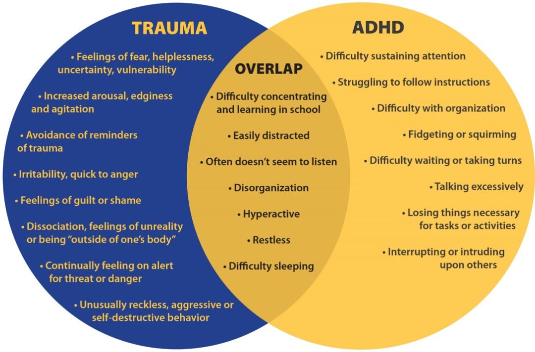Trauma in Disguise: Introducing Trauma-Informed, Resilience-Focused ...