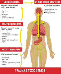 Trauma in Disguise: Introducing Trauma-Informed, Resilience-Focused ...